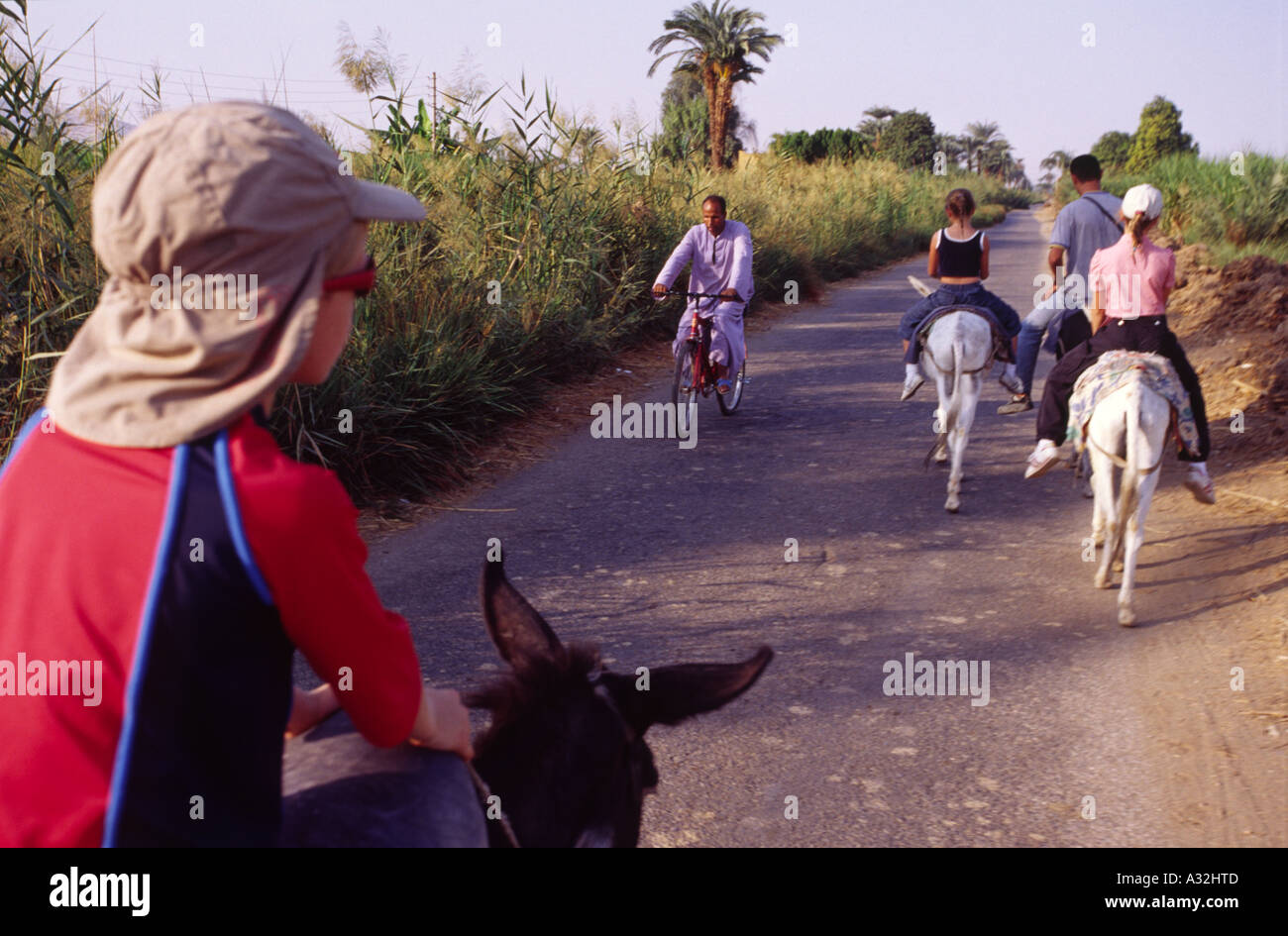 Donkeys riding under hi-res stock photography and images - Alamy