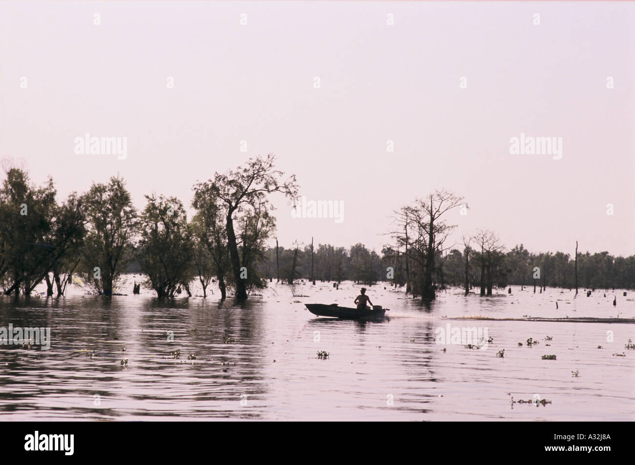 fishing in the louisiana swamp Stock Photo - Alamy
