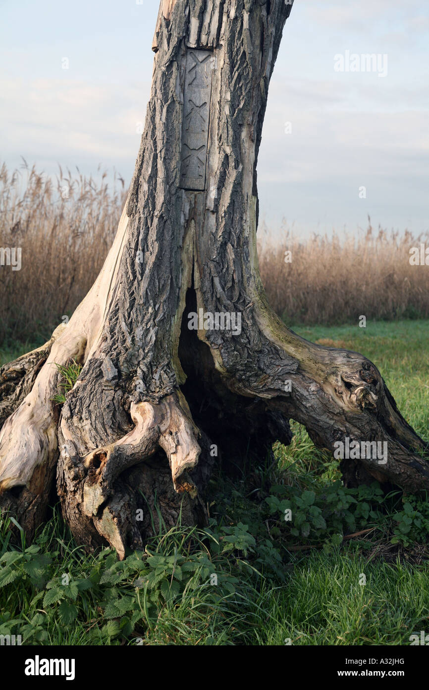 Trunk with woodcarved windmills in it, Kinderdijk Holland Stock Photo ...