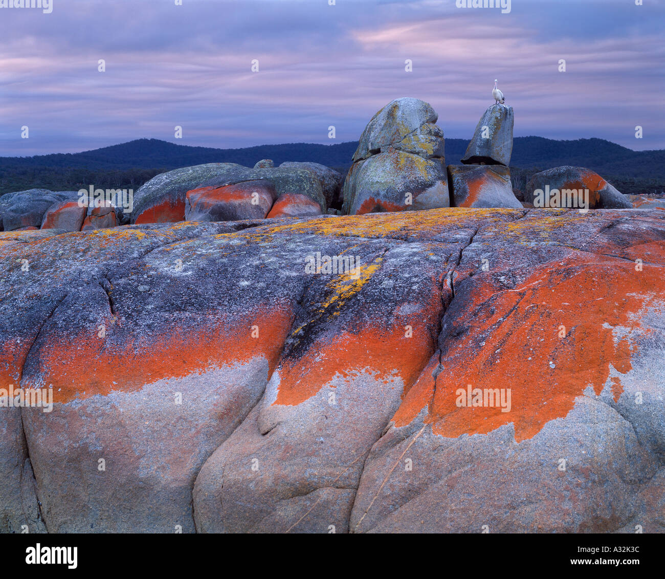 colours of rock at Binalong Bay Stock Photo - Alamy