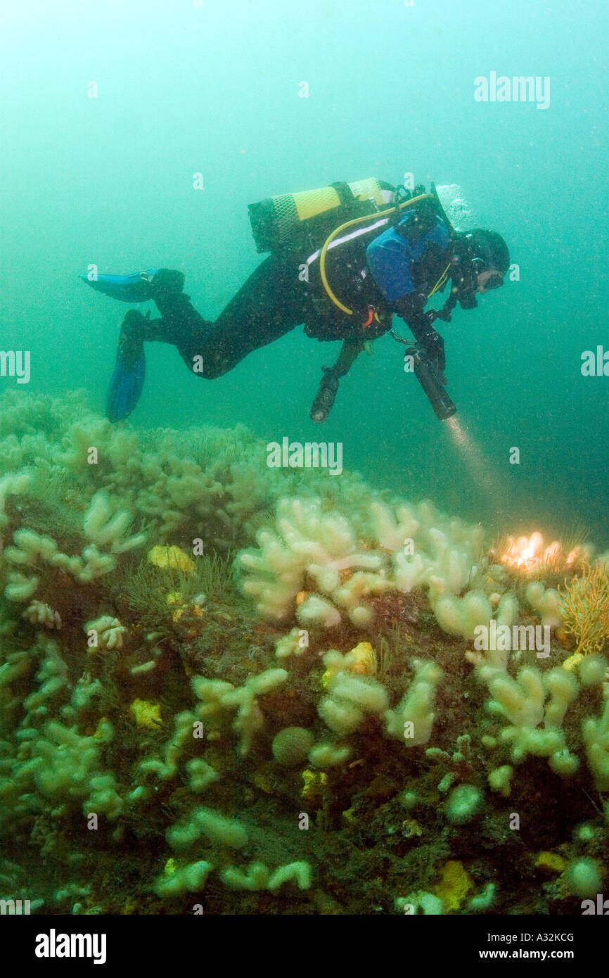 Cornwall scuba diver hi-res stock photography and images - Alamy