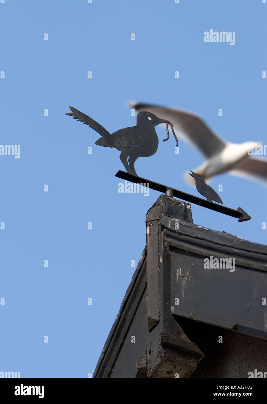 Bird weather vane, wind direction indicator low angle view with blurred ...