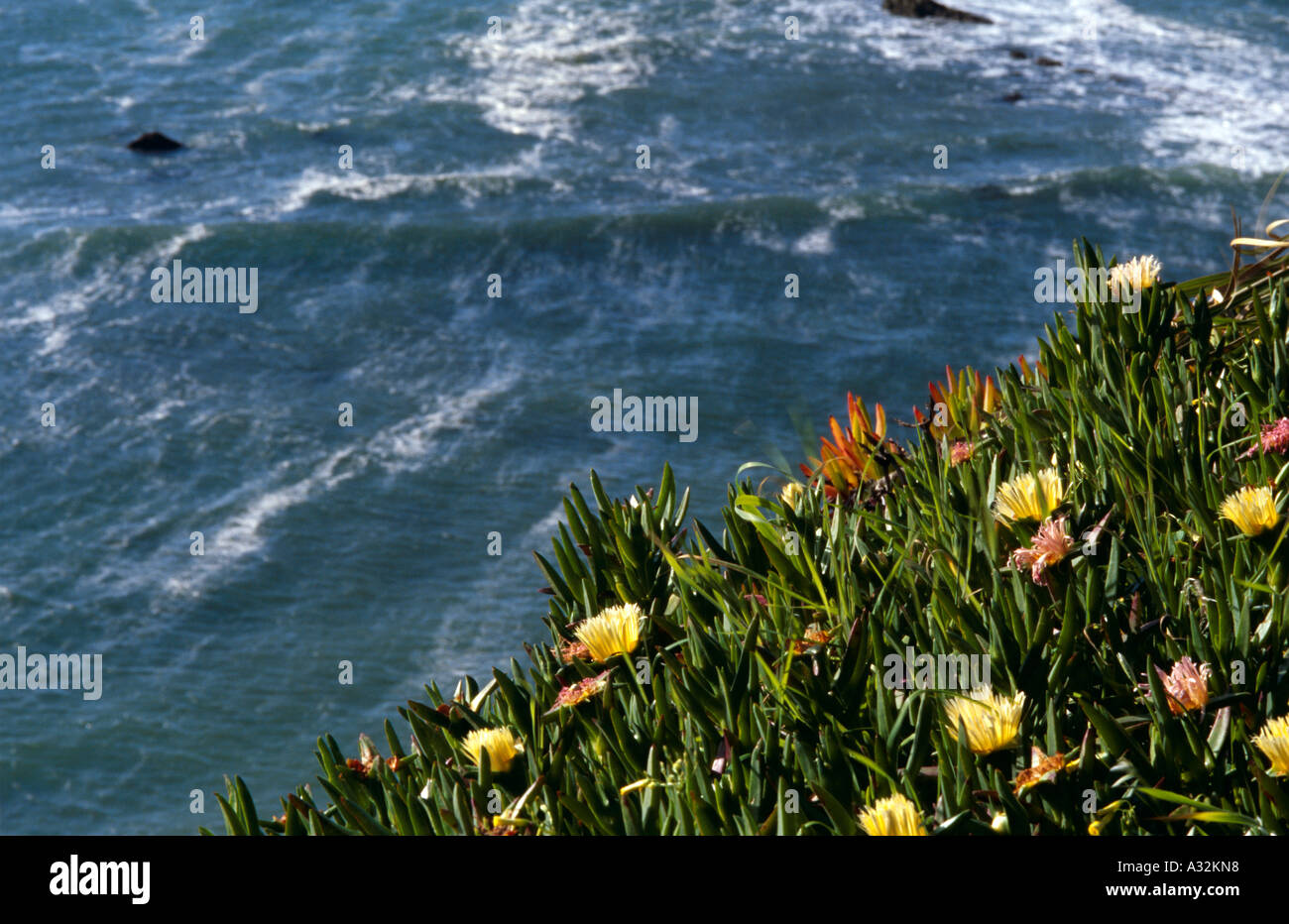 At the Beach Stock Photo - Alamy