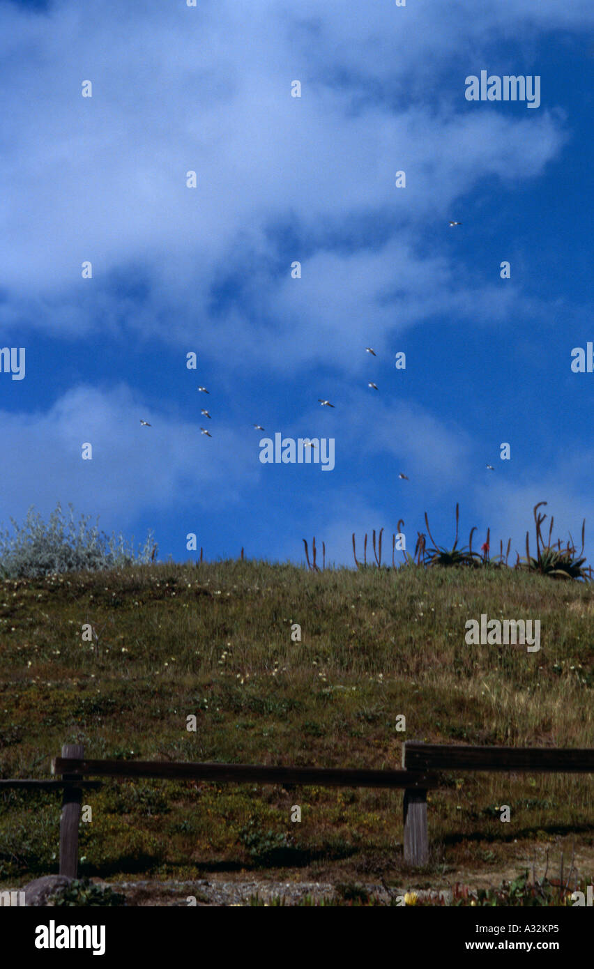 Beach essence hi-res stock photography and images - Alamy