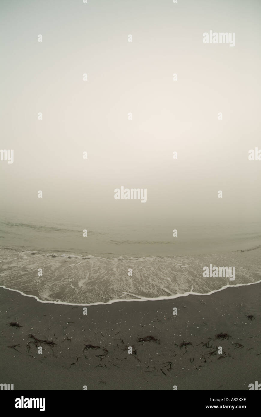 fog over ocean early morning Florida beach coastal calm waves thick ...