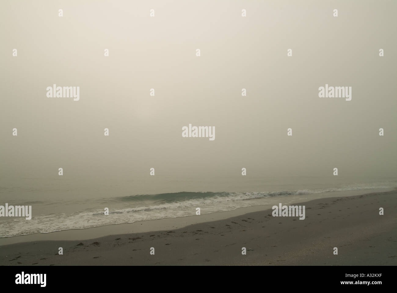 fog over ocean early morning Florida beach coastal calm waves thick ...