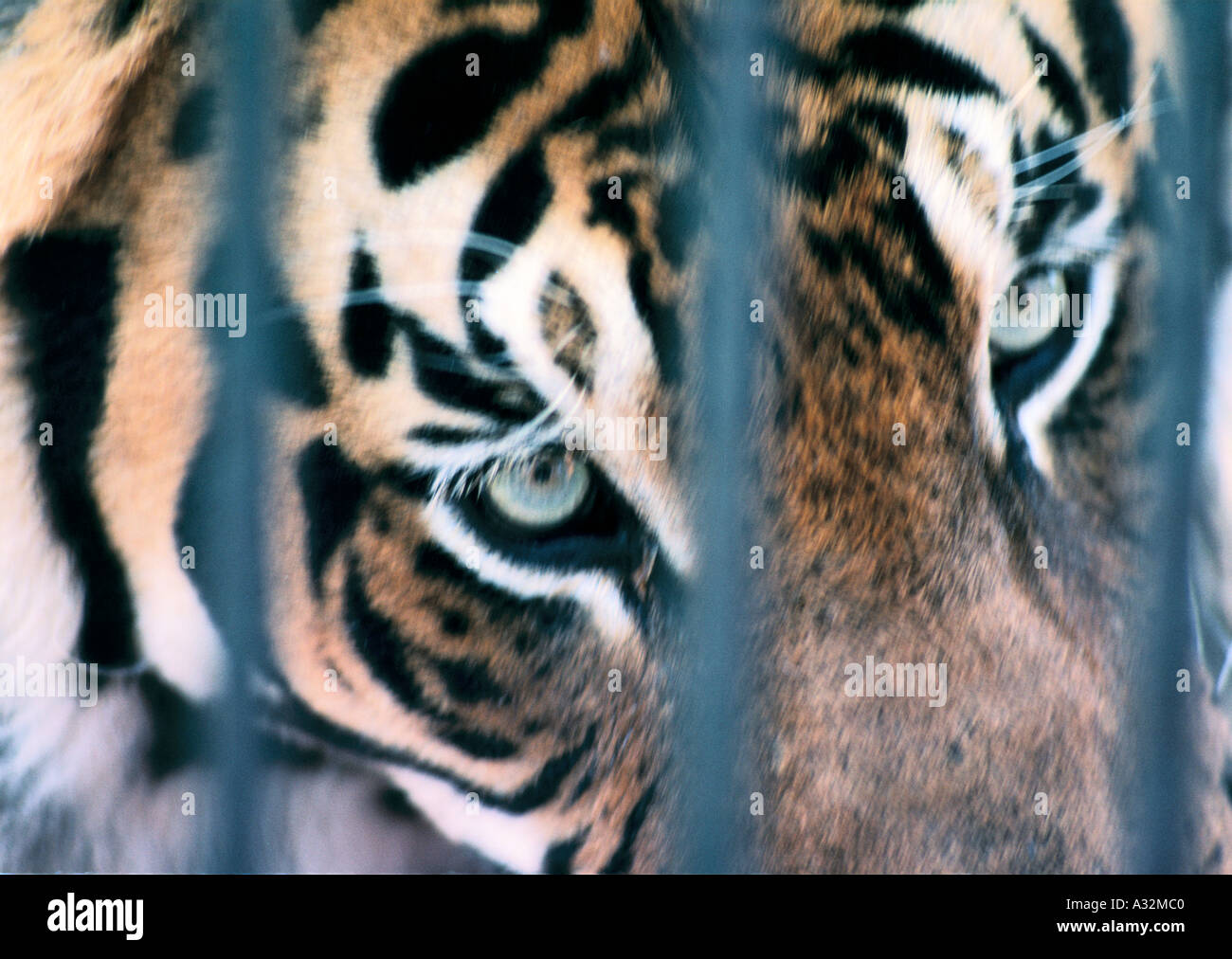 Cromer zoo hi-res stock photography and images - Alamy