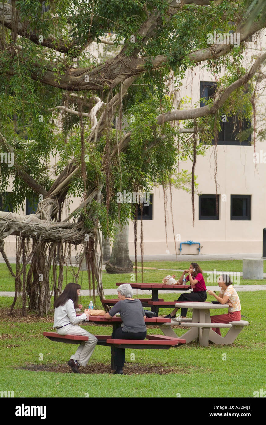 University Students Studying Outside