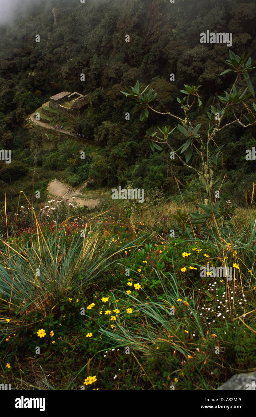 Cloud forest ruins in the Andean mountains of the Inca trail, peru ...