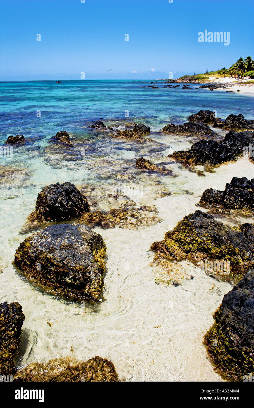 North coast aruba hi-res stock photography and images - Alamy
