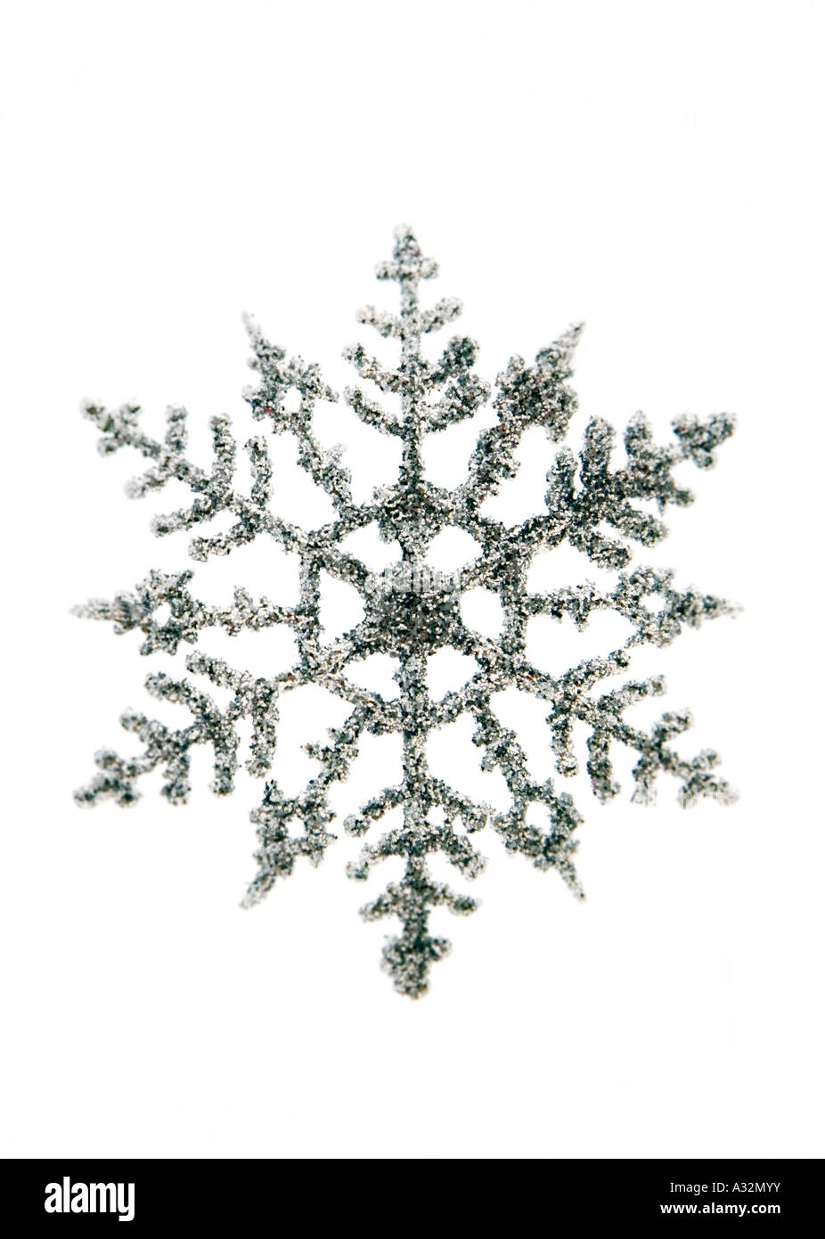 Silver tree hi-res stock photography and images - Alamy