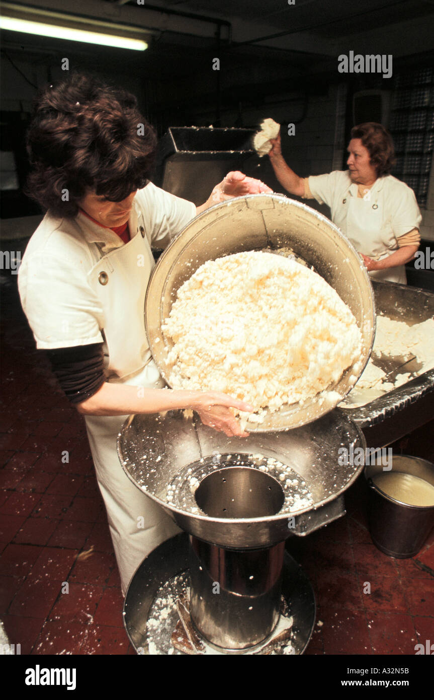 stilton cheese production Stock Photo - Alamy