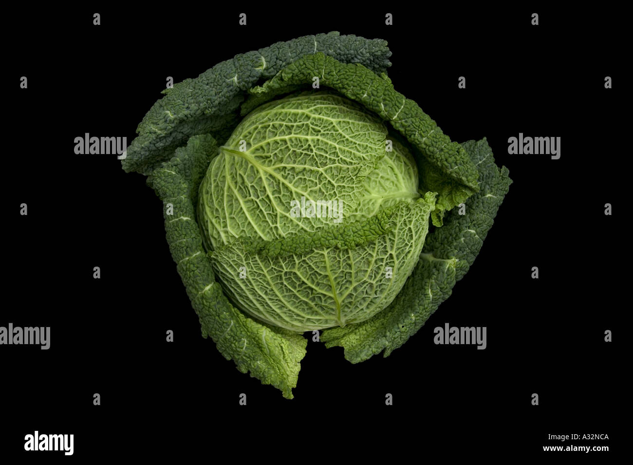 vegetables uncooked uncut savoy cabbage Stock Photo - Alamy
