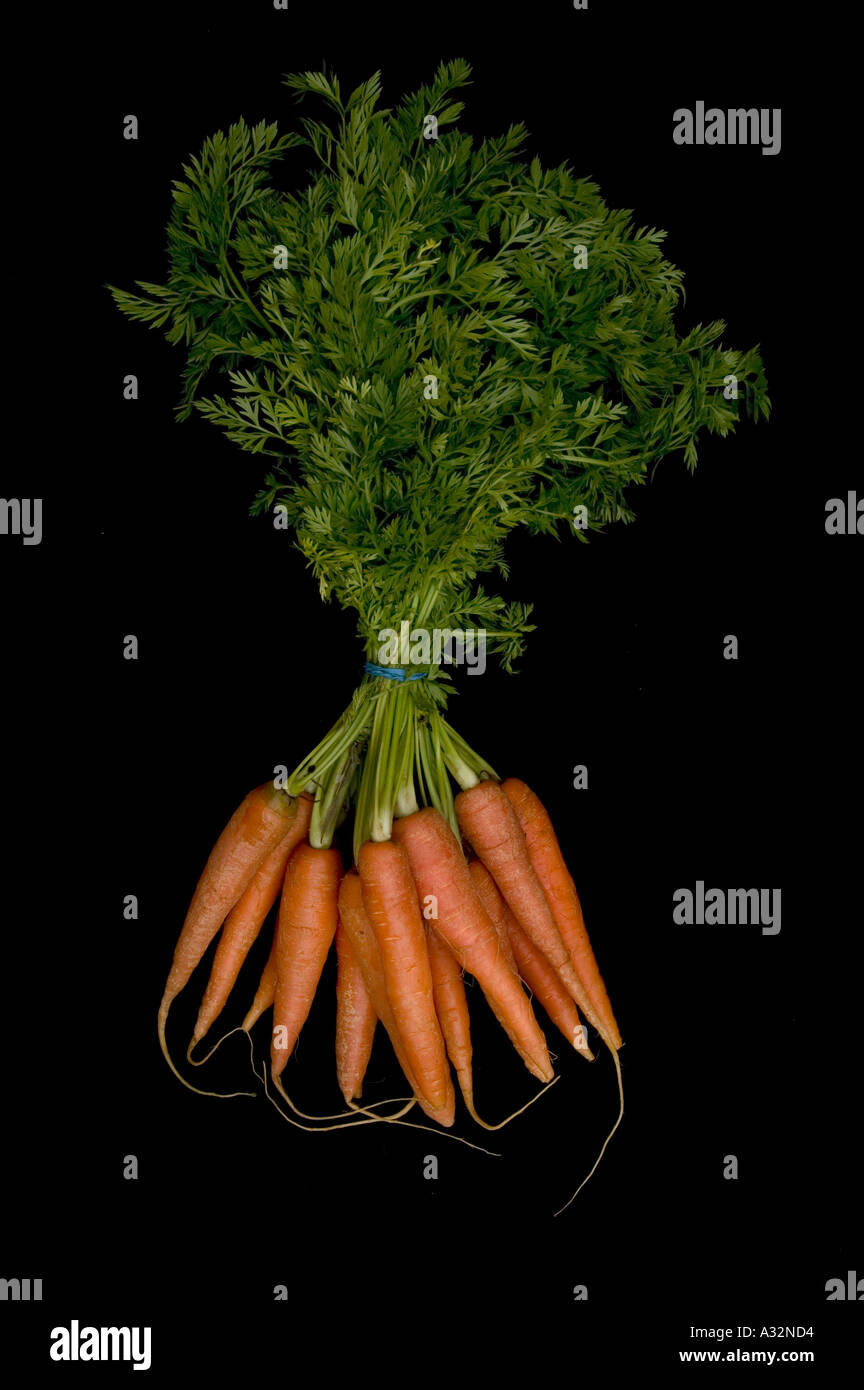 vegetables uncooked uncut carrots Stock Photo - Alamy