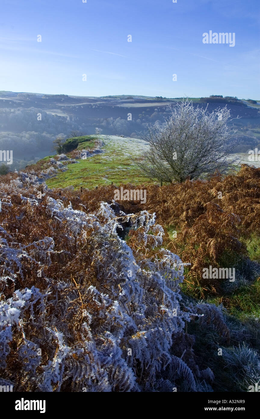 A winter scene in Powys, Wales,UK Stock Photo - Alamy