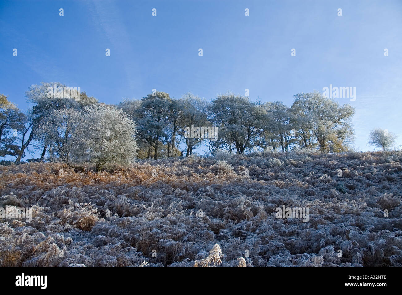 A winter scene in Powys, Wales, UK Stock Photo - Alamy