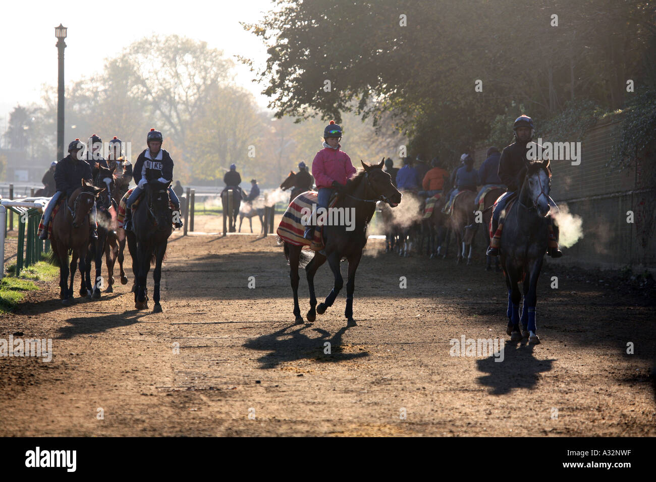 Racehorses and riders congregate, the Gallops, newmarket Suffolk ...