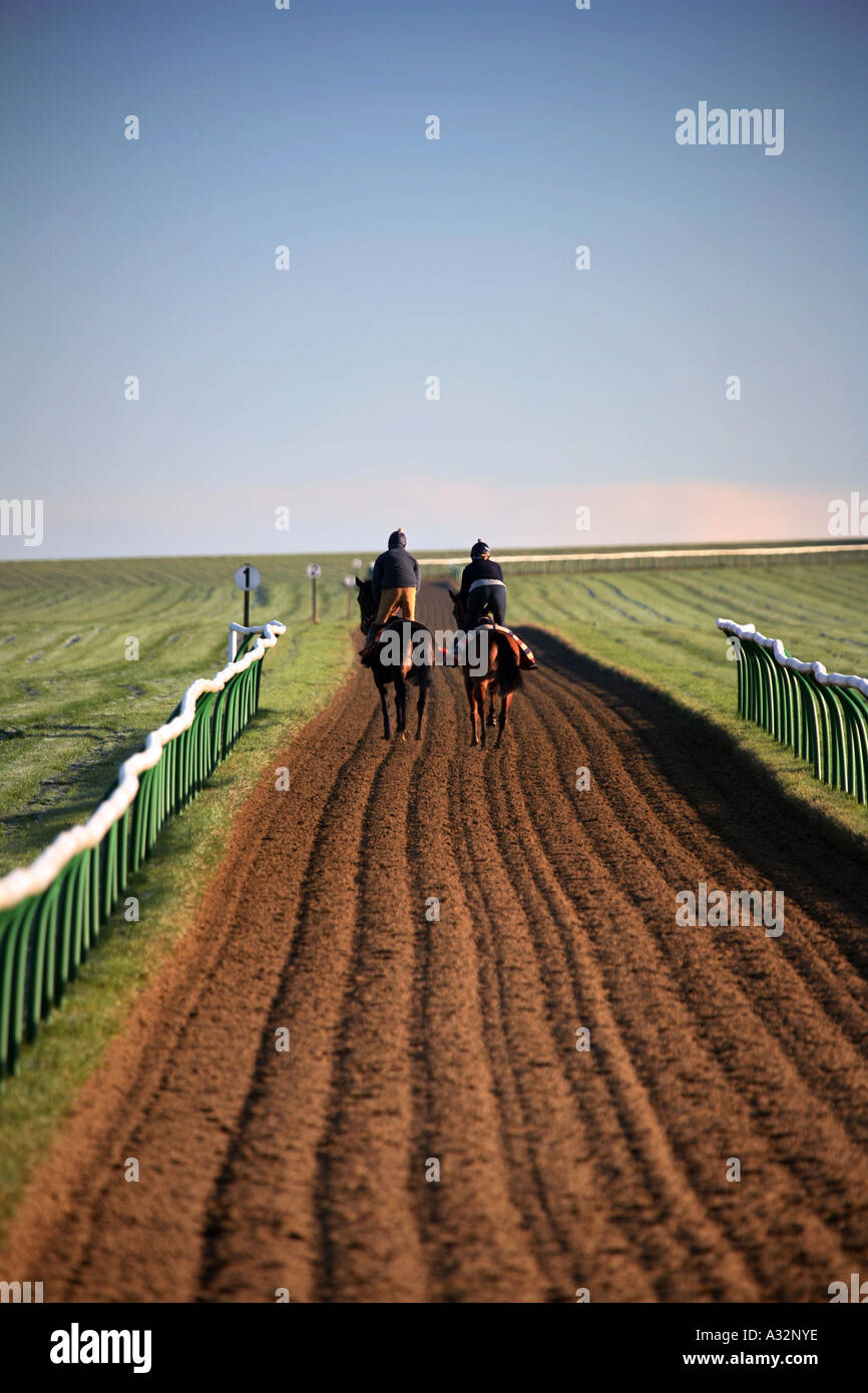 Two racehorses gallop off along the Gallops, Warren Hill training ...