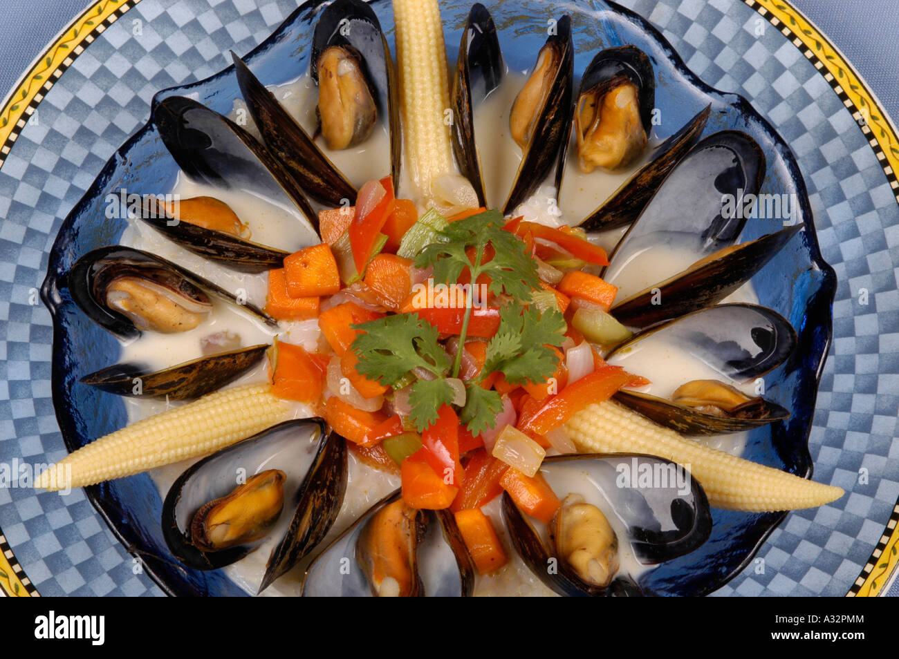 Green lip mussels new zealand hi-res stock photography and images - Alamy