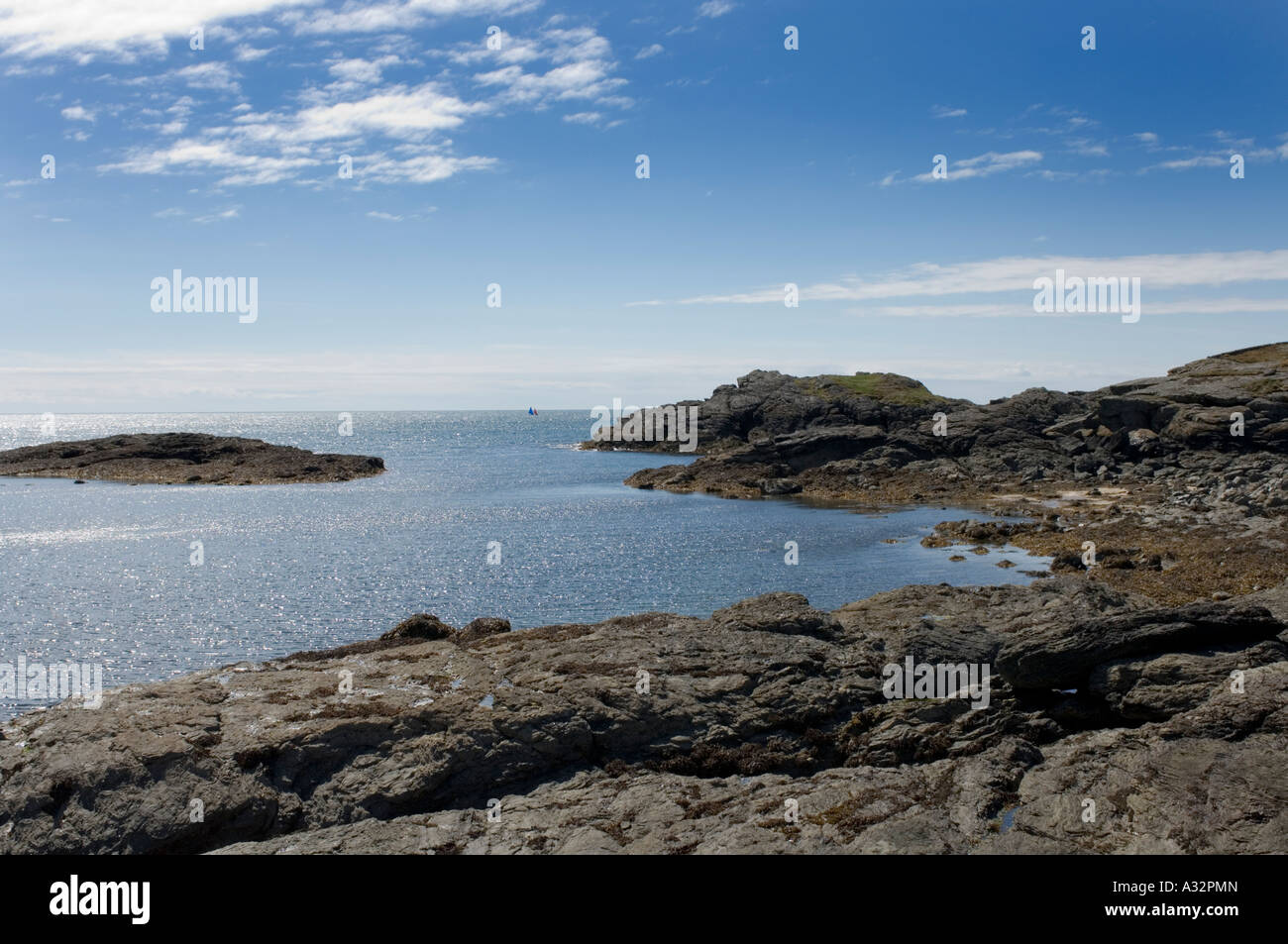 Sailing Boats on the Horizon Stock Photo - Alamy