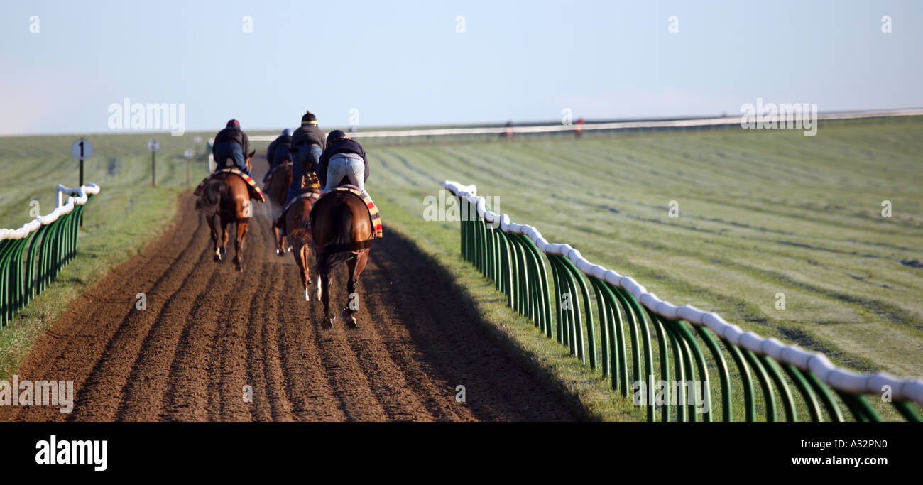 Four riders ride their racehorses out into the gallops, newmarket ...