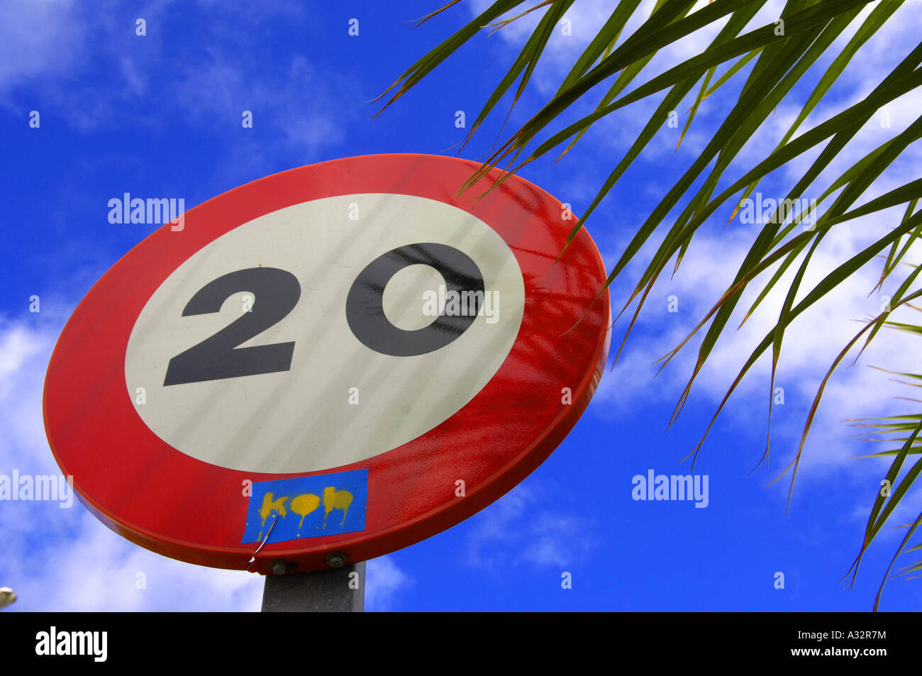 20 twenty zone speed red sign traffic road circle palm leaves puerto de ...