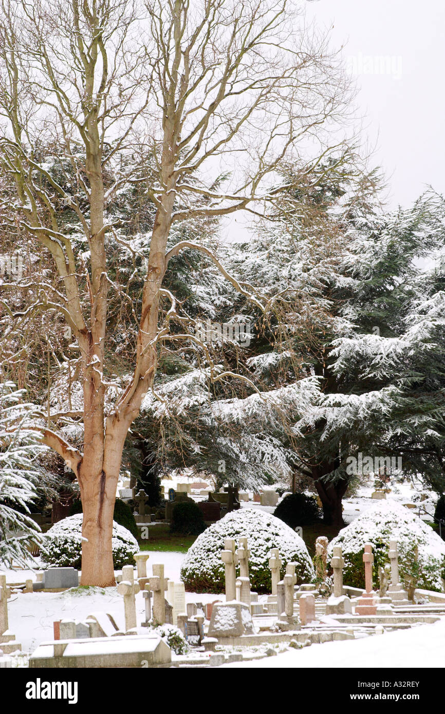 Durrington hi-res stock photography and images - Alamy