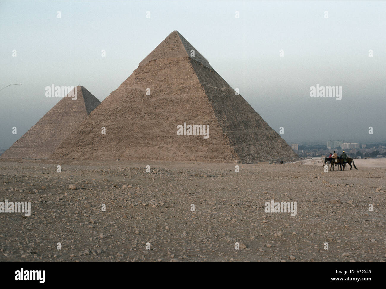 People riding mules horses at the pyramids, Egypt Stock Photo - Alamy