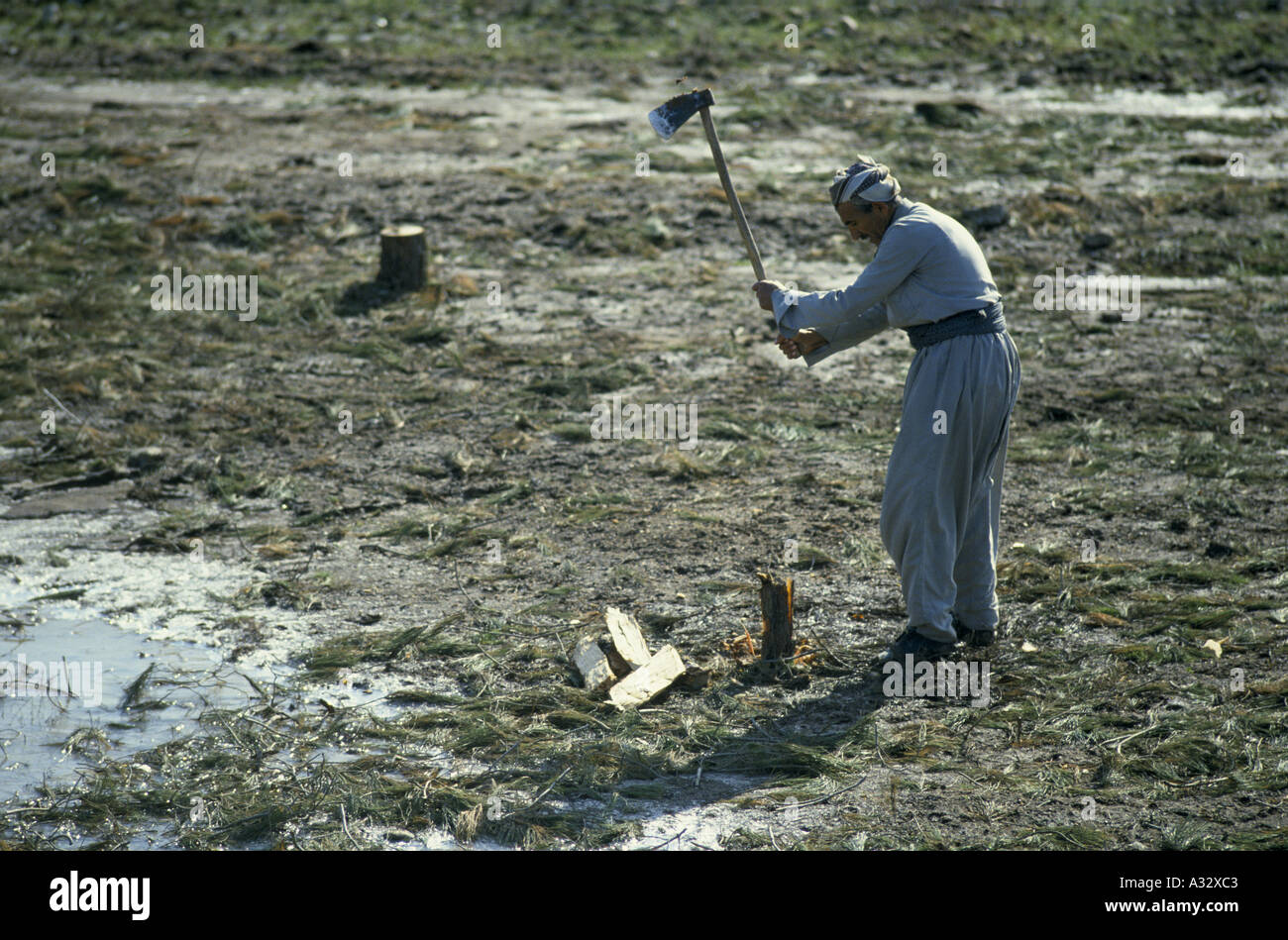 A man chopping wood with an Axe, Kurdistan, Iraq Stock Photo - Alamy