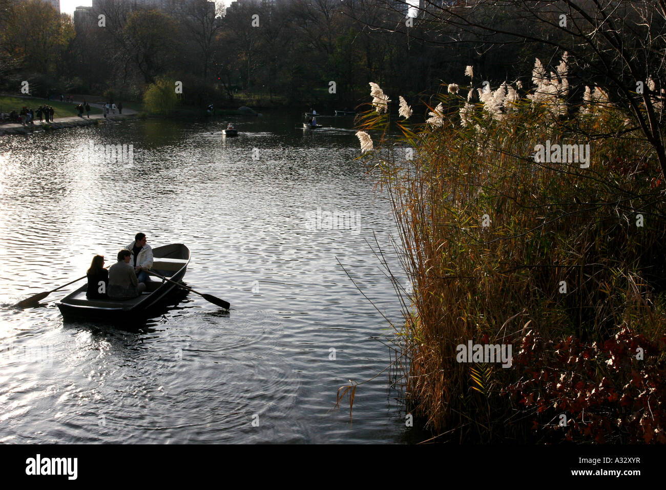 Row Boat on Pond at Central Park Manhattan New York City Stock Photo ...