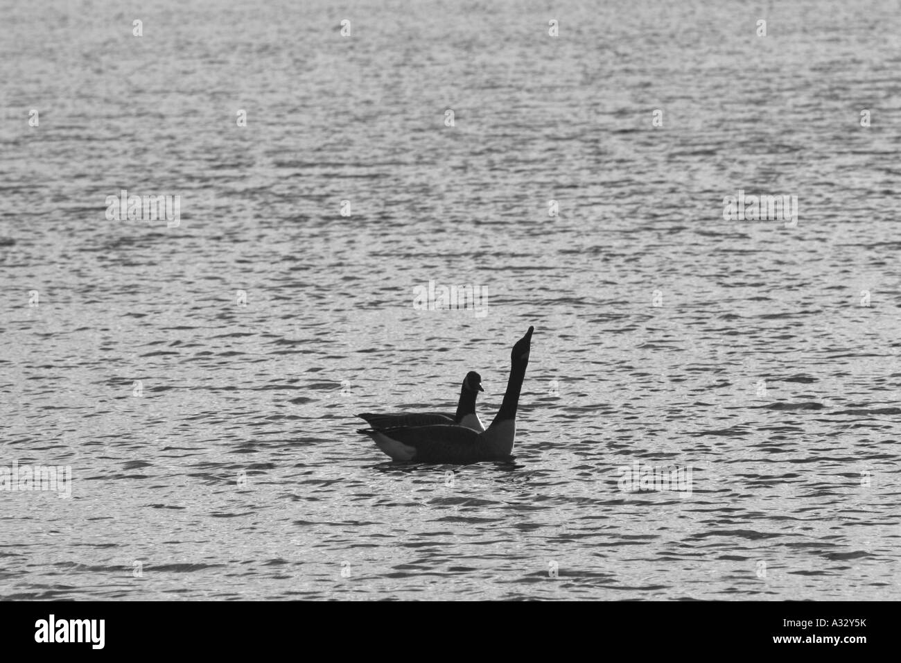 Overpeck park hi-res stock photography and images - Alamy