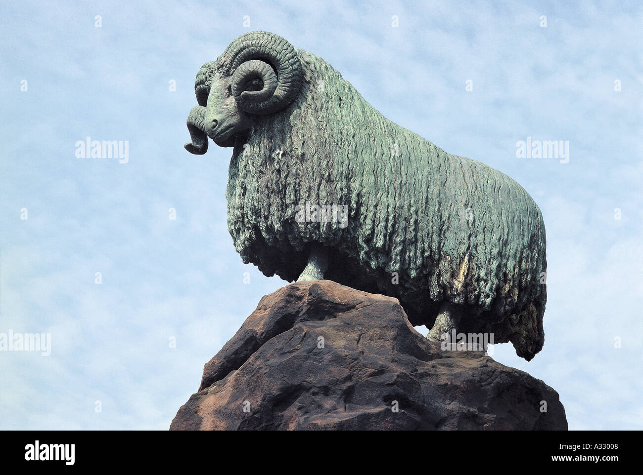 The Moffat Ram High Resolution Stock Photography and Images - Alamy