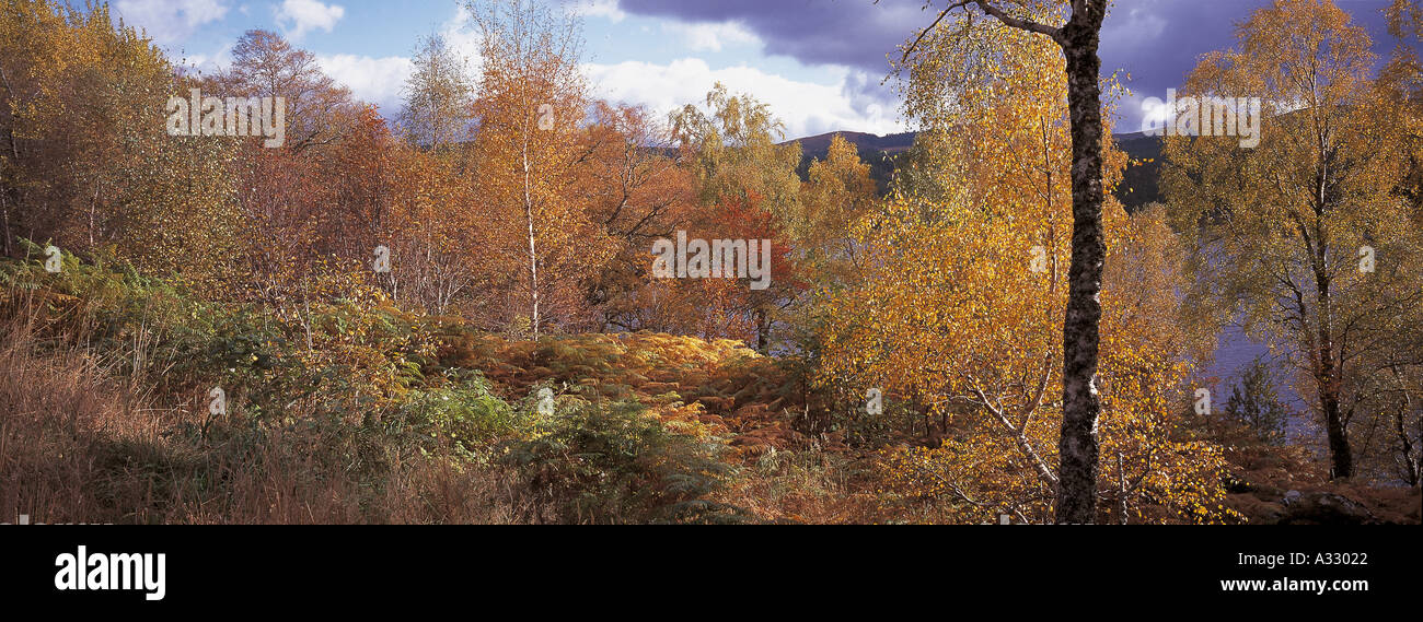Autumn loch laggan hi-res stock photography and images - Alamy
