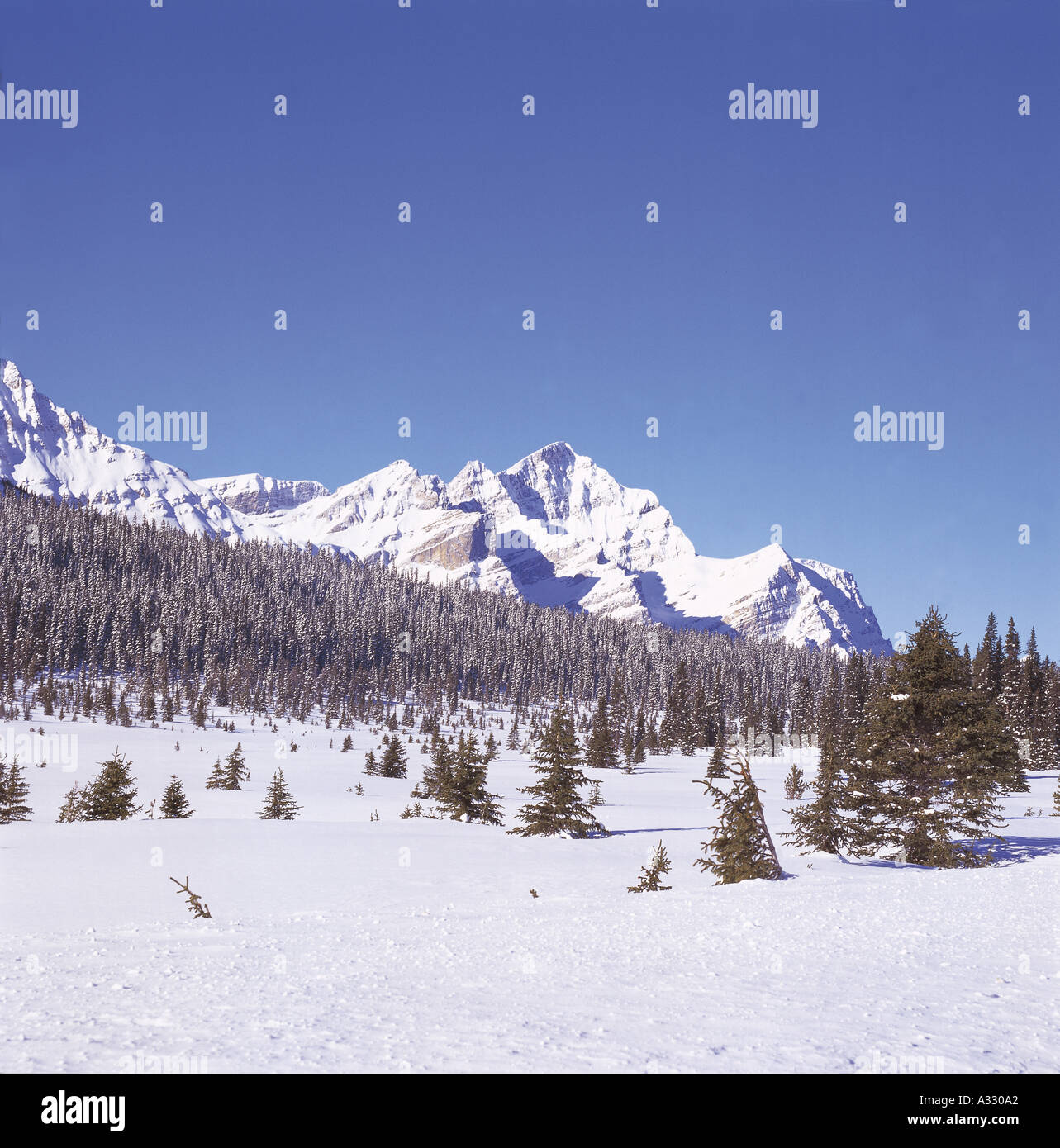 Mount patterson hi-res stock photography and images - Alamy