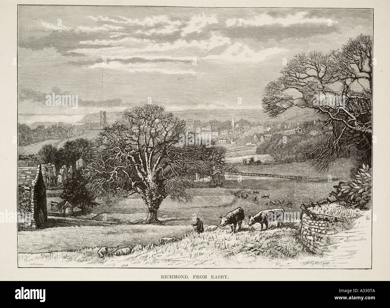 Black white effect tree Cut Out Stock Images & Pictures - Alamy