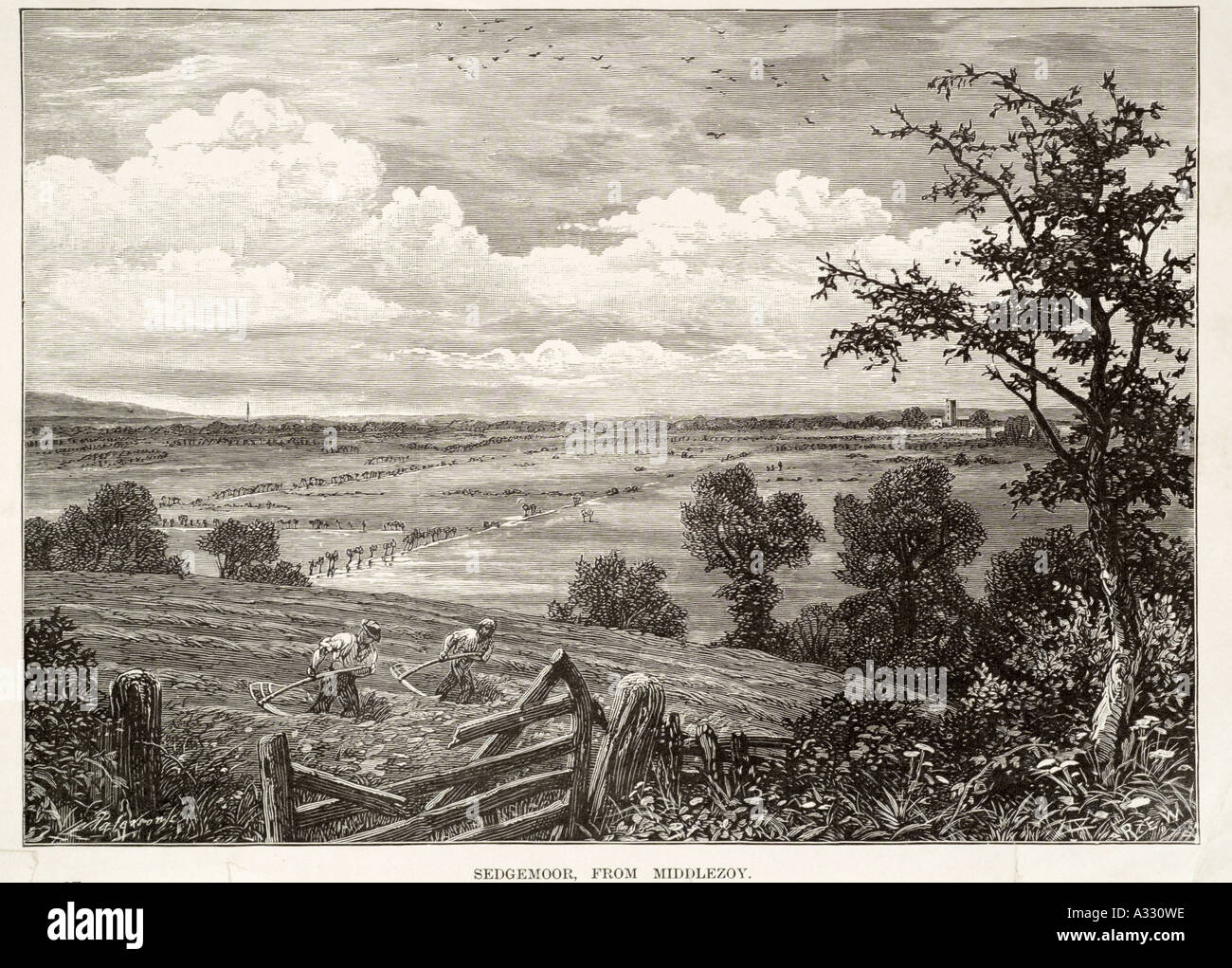 Sedgemoor from Middlezoy view over field pastoral gate tree UK United ...