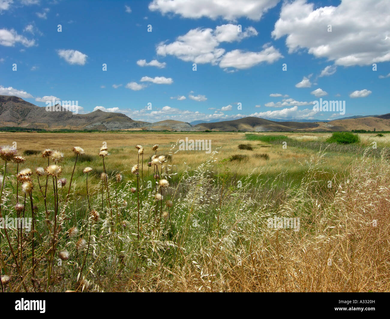 landscape with field and mountains in Thessaly Greece Stock Photo - Alamy