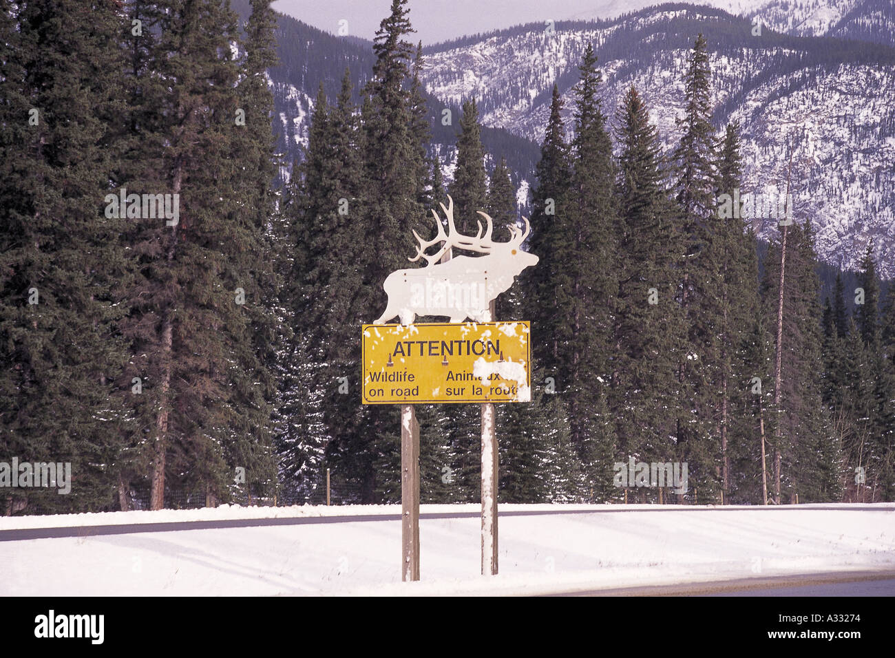 Elk Crossing Sign Stock Photo - Alamy