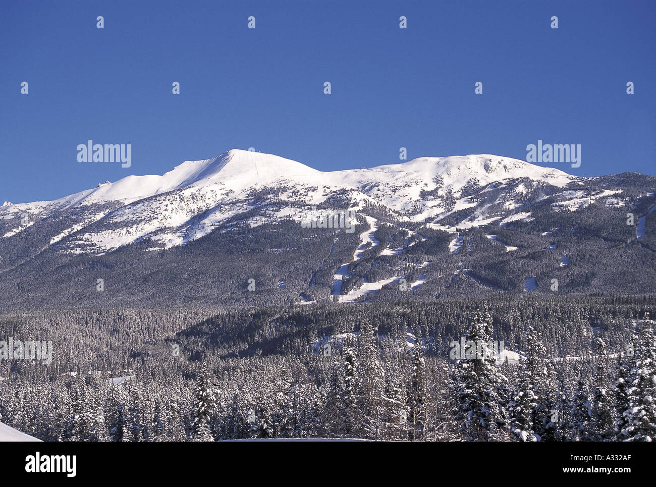 Lake Louise Ski Slope Stock Photo - Alamy