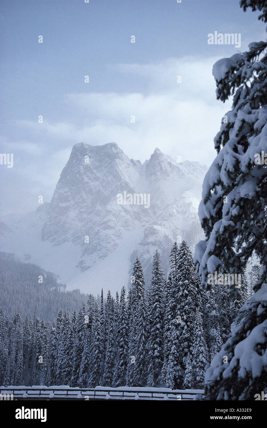 Mt burgess hi-res stock photography and images - Alamy