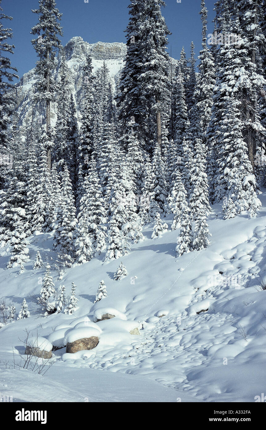 Mt hector hi-res stock photography and images - Alamy