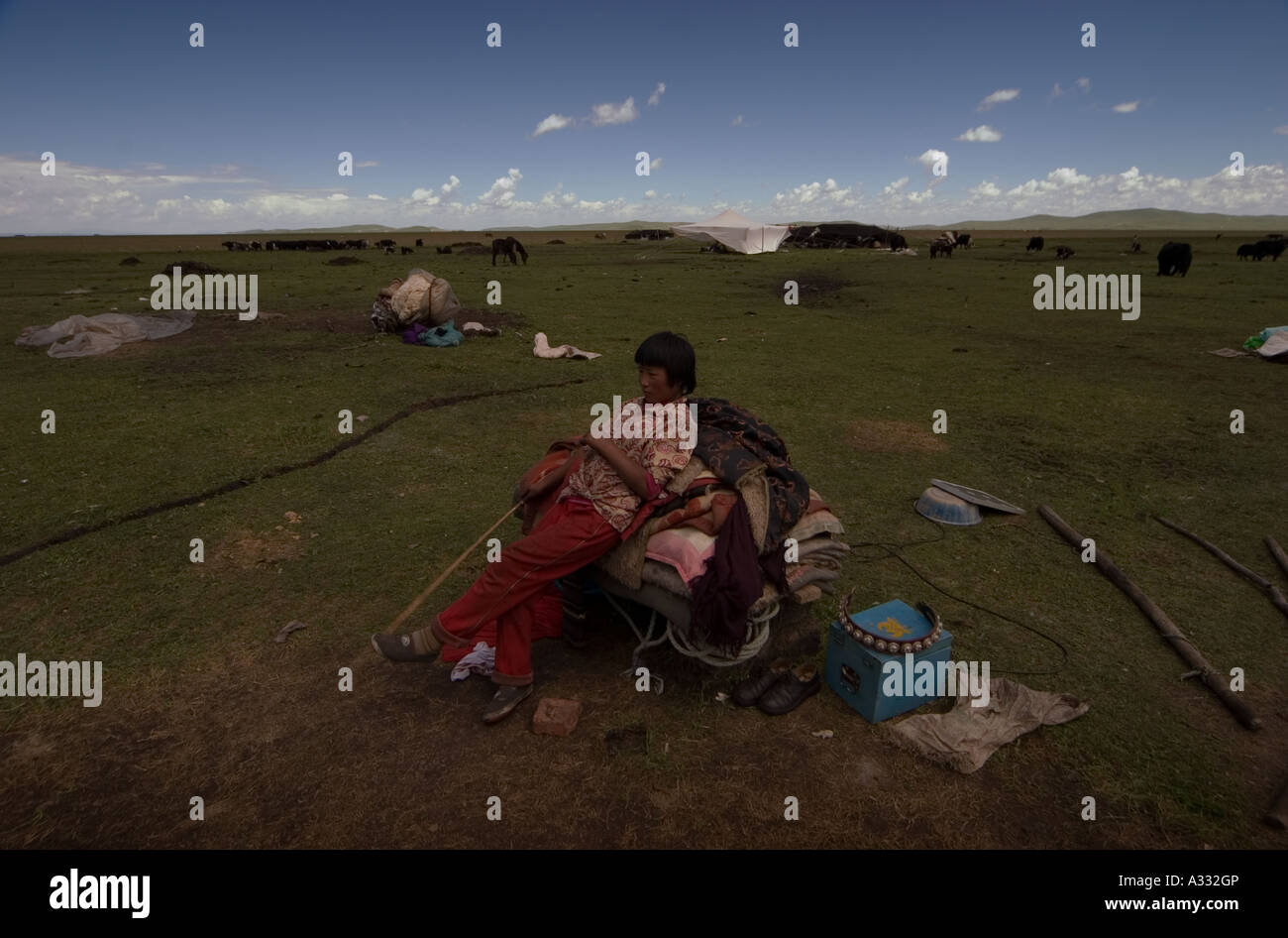 Life On Tibetan Plateau It Is High Resolution Stock Photography and ...