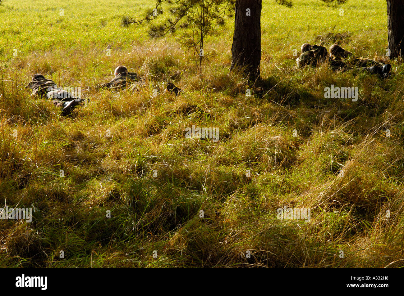 Military Cadets hiding in long grass Stock Photo - Alamy