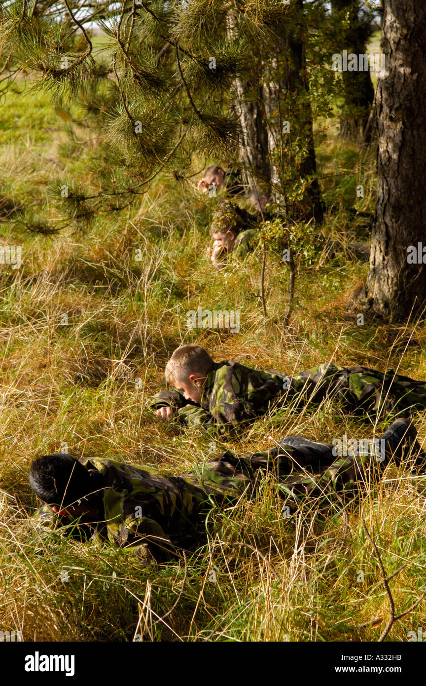 Military hiding in long grass hi-res stock photography and images - Alamy