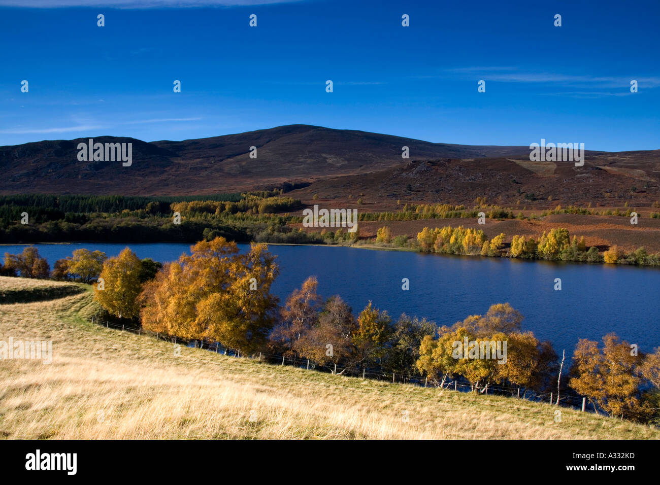 Loch alvie hi-res stock photography and images - Alamy