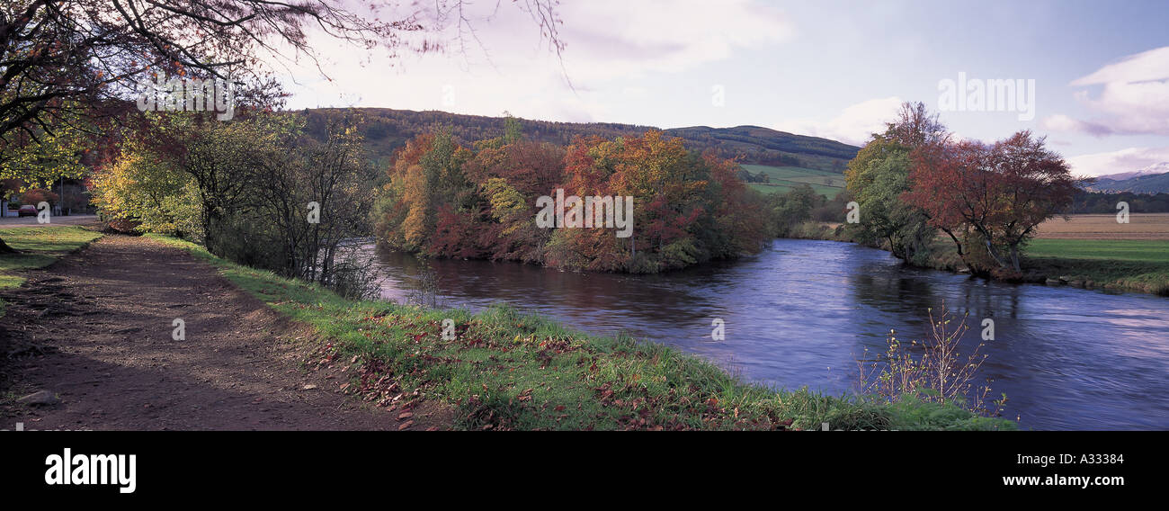River tay scotland trees hi-res stock photography and images - Alamy