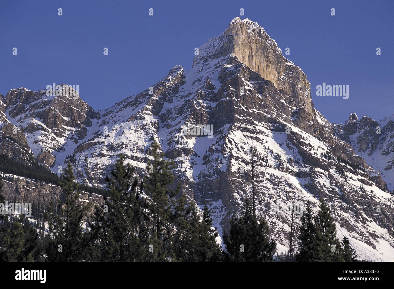 Mount wilson alberta hi-res stock photography and images - Alamy