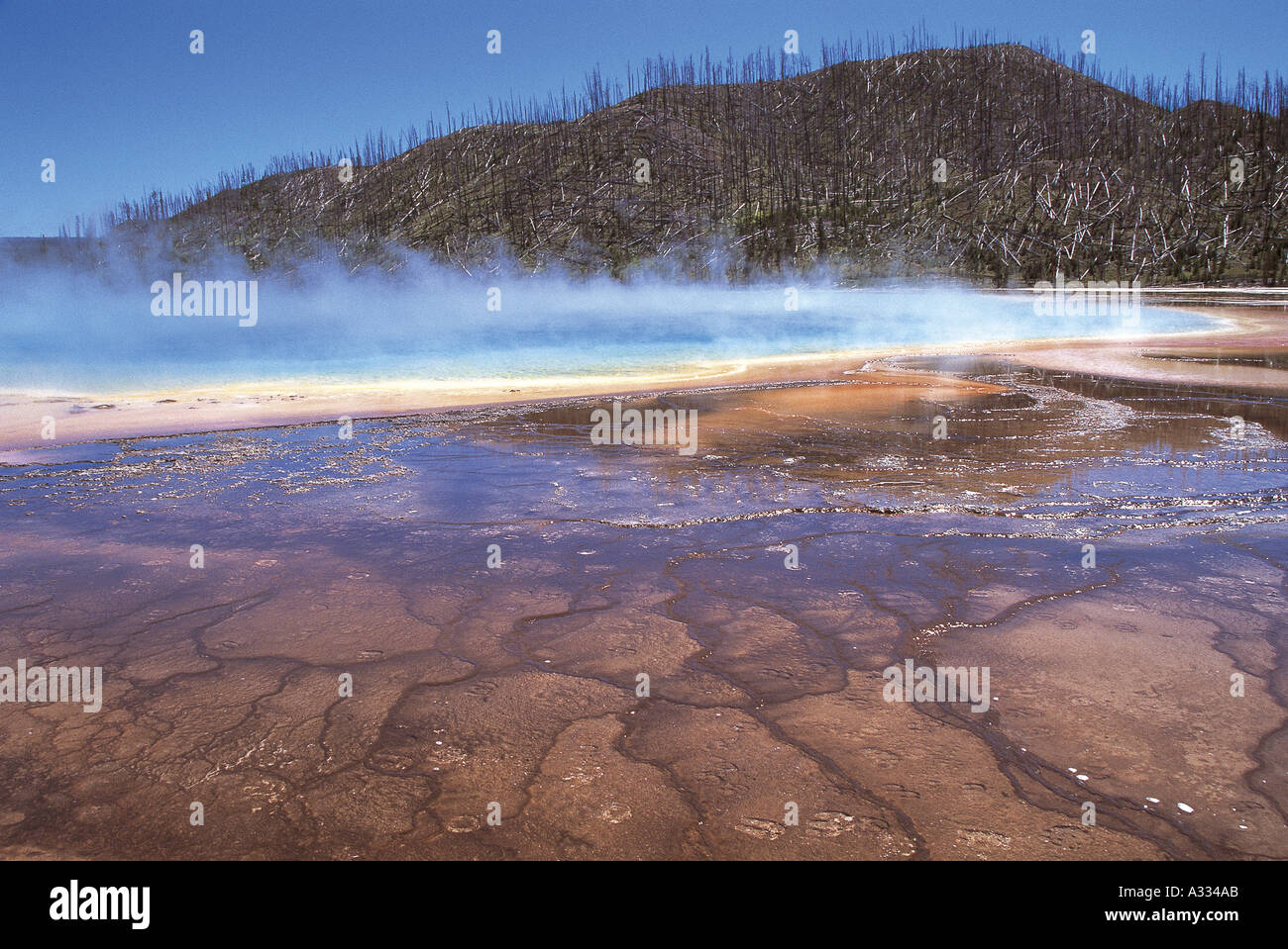Grand Prismatic Spring Stock Photo - Alamy