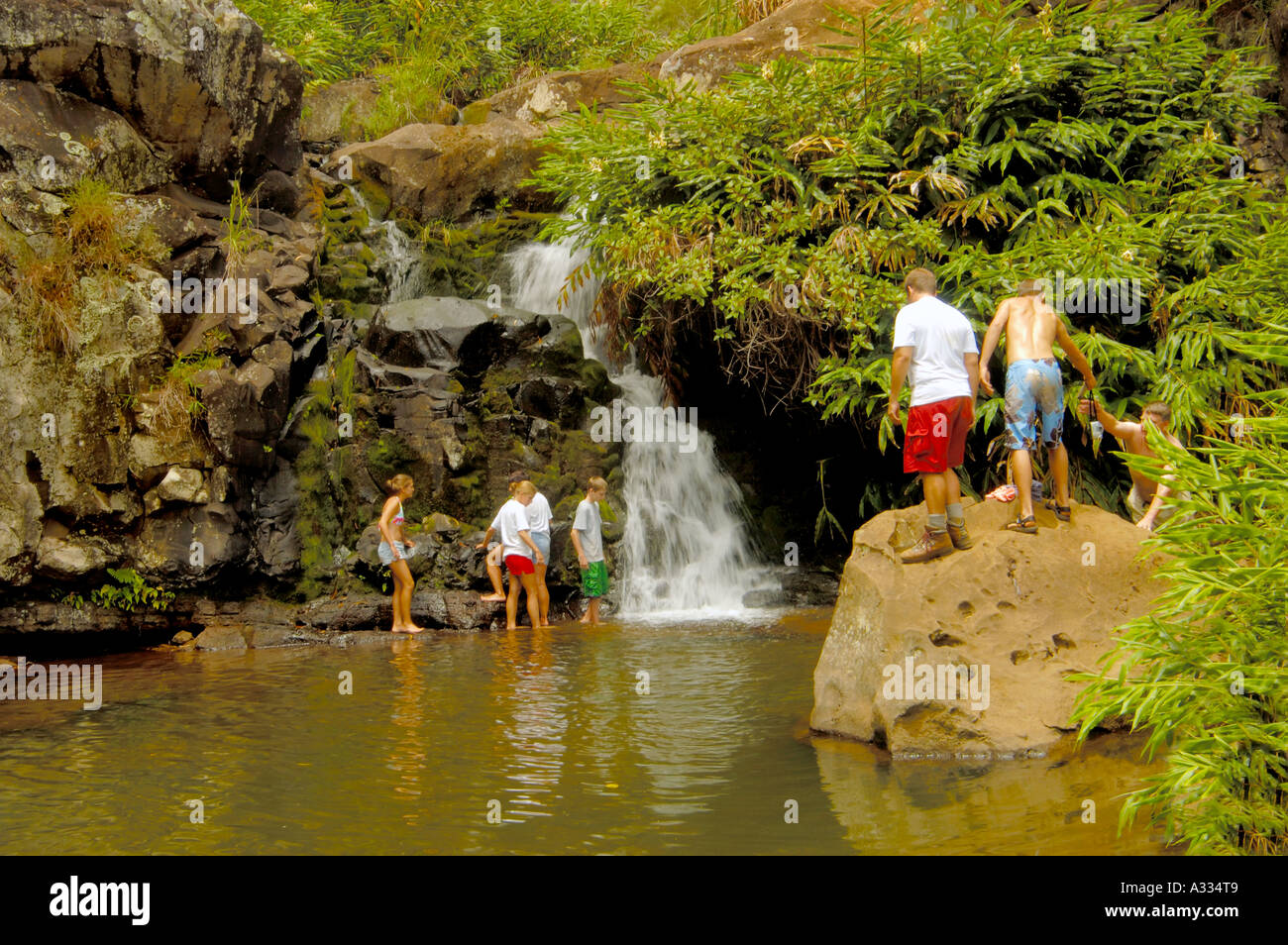 small waterfalls on a trail in Waimea Canyon in Kokee State Park Kauai ...