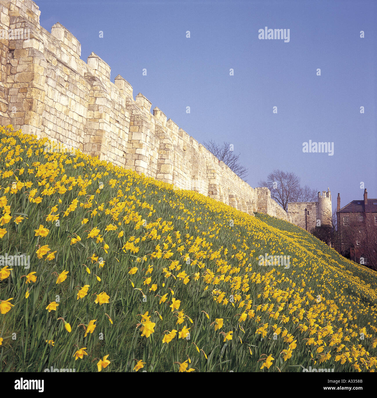 York City Walls Stock Photo - Alamy